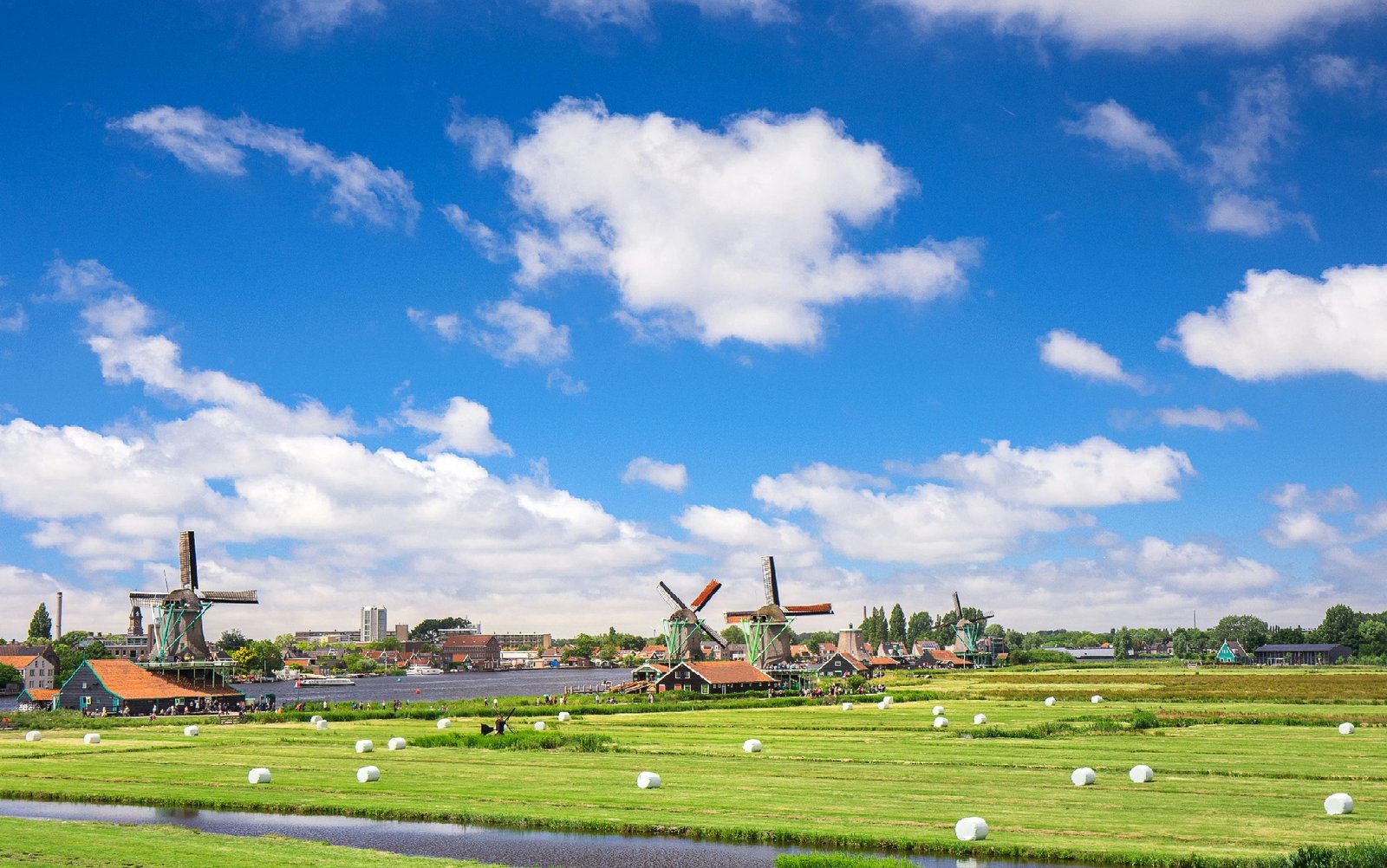 To Netherlands | Dutch Business and Travel